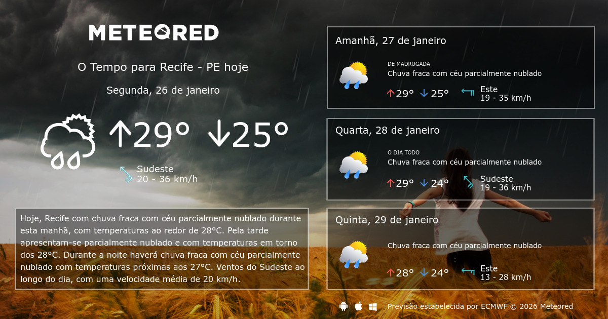 Tempo em Recife - PE. Previsão para 14 dias - Meteored Portugal